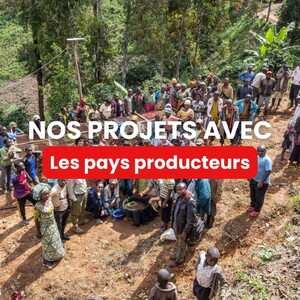 Malongo - Coffee, from plantation to cup