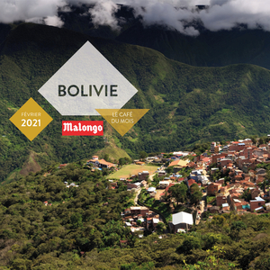 Malongo - Coffee, from plantation to cup