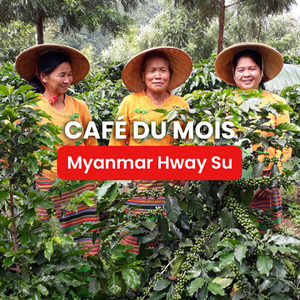 Malongo - Coffee, from plantation to cup