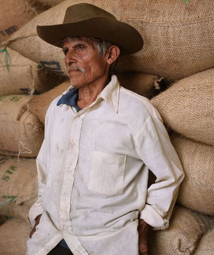 Malongo - Coffee, from plantation to cup