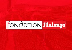 Malongo - Le café, de la plantation à la tasse