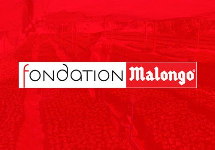 Malongo - Le café, de la plantation à la tasse