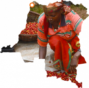 Trips to producing countries - Malongo - The coffee world tour