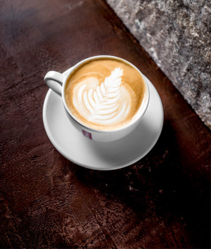 Malongo - Coffee, from plantation to cup