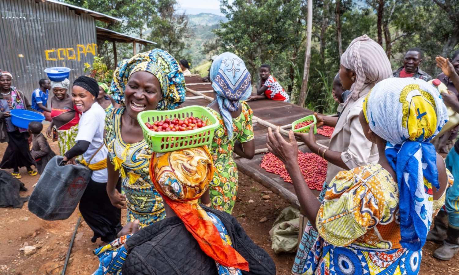 Actualités Malongo - Malongo